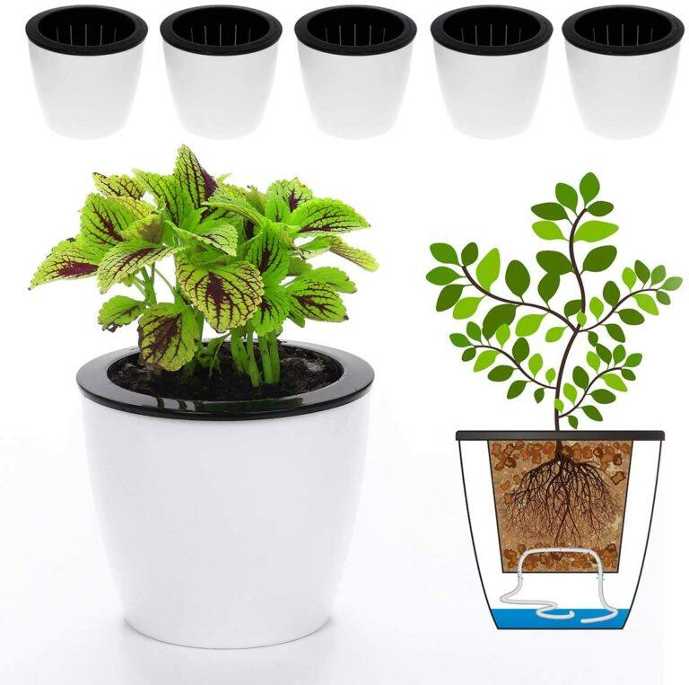 9 Best Self-watering Garden Pots to Grow Food in 2021
